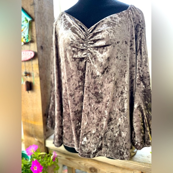 Lane Bryant | Tops | Lane Bryant Mocha Crushed Velvet Pullover Peasant ...